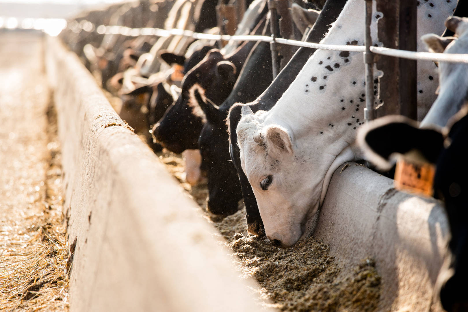 Micro Technologies | Solutions-based technology innovator, enabling the ...