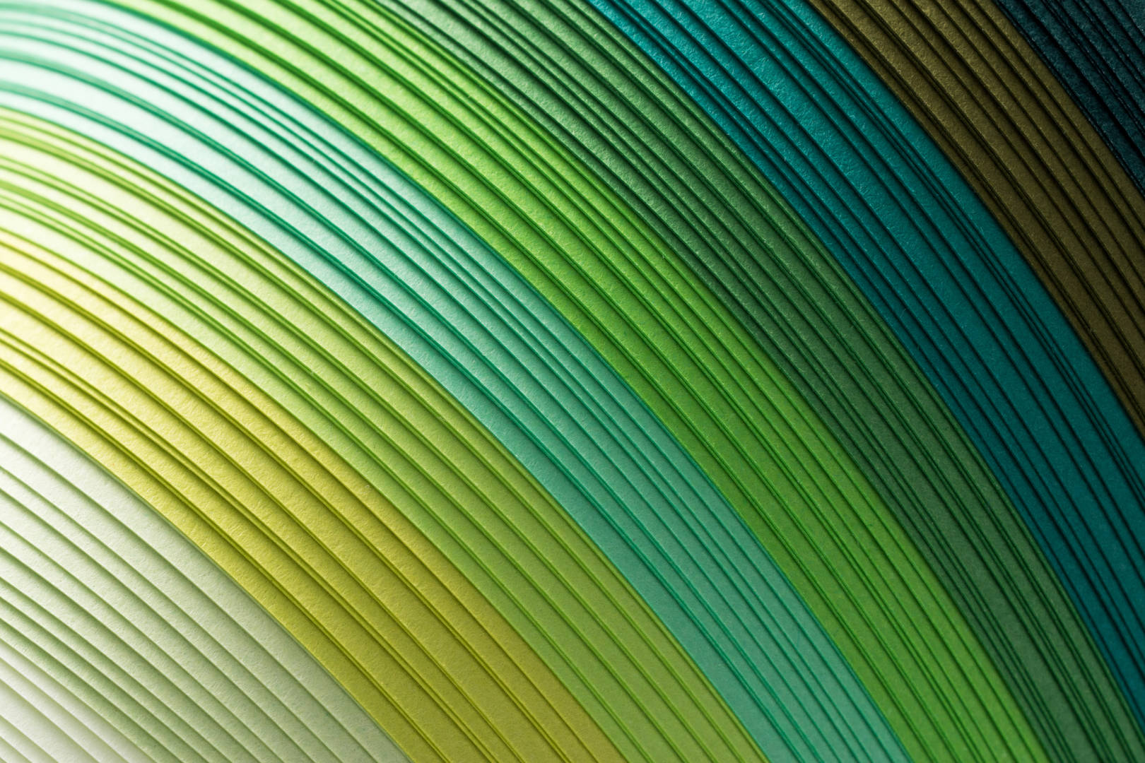 Insights | Micro Technologies